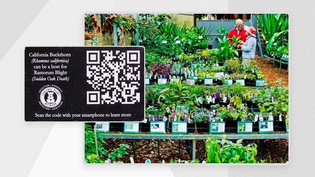 QR Codes for Innovative Teaching in Classroom