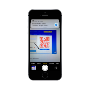 QR Code Scavenger Hunt [Complete Guide]